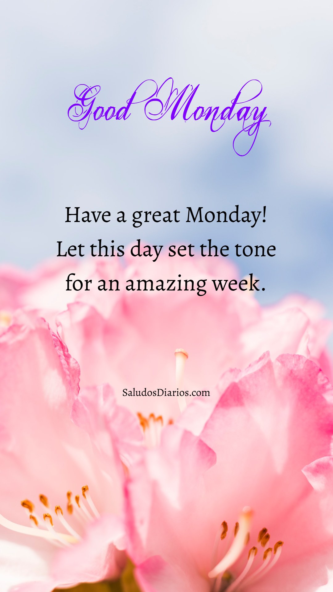 Good Monday, Friends, Contacts, Group, Greeting phrases - Saludos Diarios Good Monday, Friends, Contacts, Group, Greeting phrases - Saludos Diarios